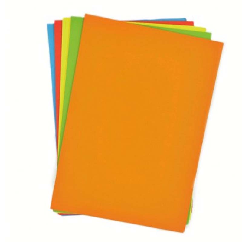 A4 80G BRIGHT ASSORTED COLOR PAPER PK100 – Your Door
